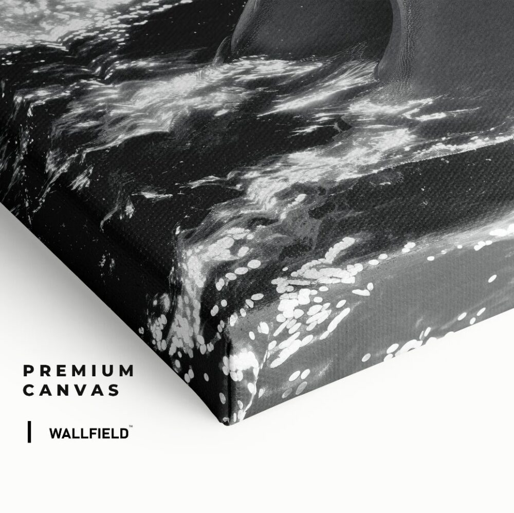 "The Shiny Object" - Wallfield©